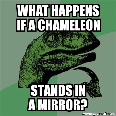 Meme Filosoraptor - what happens if a chameleon stands in a mirror ...