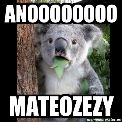 Meme Koala - ANOOOOOOOO MATEOZEZY - 20569383