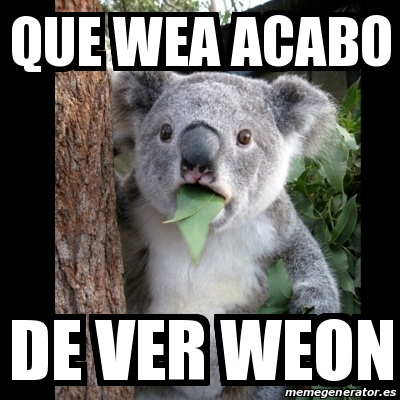 Meme Koala - Que wea acabo De ver weon - 20571509