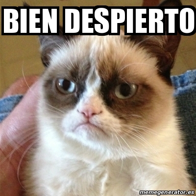 Meme Grumpy Cat - bien despierto - 20572856