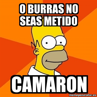 Meme Homer - o burras no seas metido camaron - 20596060