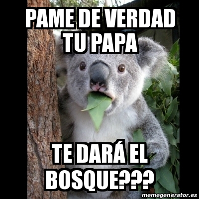 Meme Koala - Pame de verdad tu papa Te darÃ¡ el bosque??? - 20066279