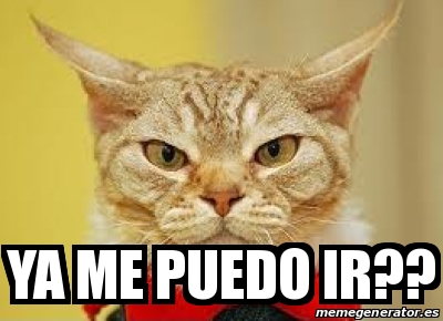 Meme Personalizado - ya me puedo ir?? - 20067497