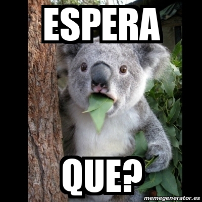 Meme Koala - ESPERA QUE? - 20720775