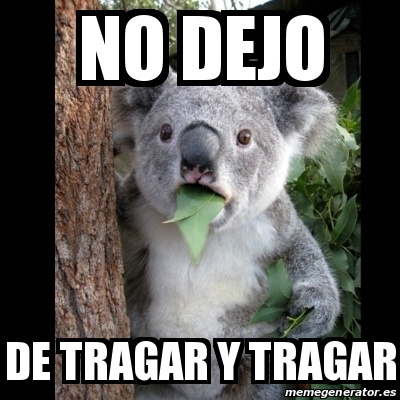 Meme Koala - No dejo De tragar y tragar - 20739010