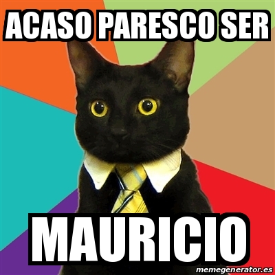 Meme Business Cat - acaso paresco ser mauricio - 20769146