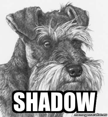Meme Personalizado - shadow - 20770814