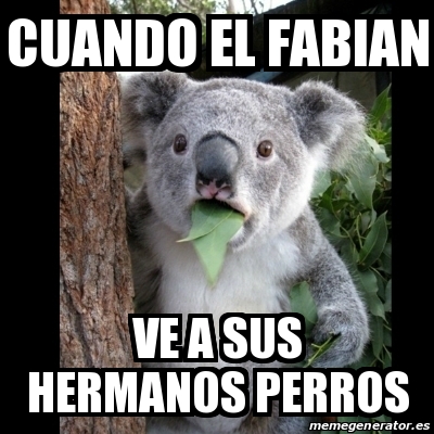 Meme Koala - cuando el fabian ve a sus hermanos perros - 20771507