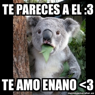 Meme Koala - te pareces a el :3 te amo enano