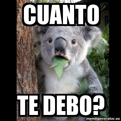 Meme Koala - Cuanto te debo? - 20774121