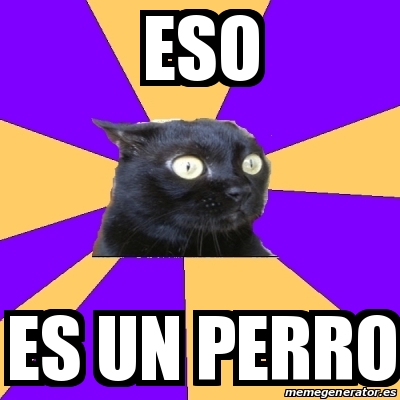 Meme Anxiety Cat - eso es un perro - 20799084