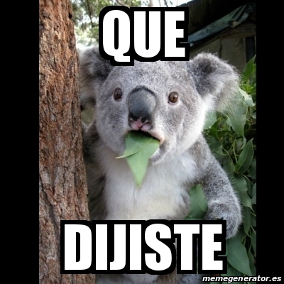 Meme Koala - que dijiste - 20853978