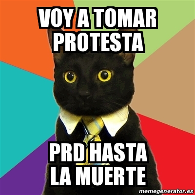 Meme Business Cat - Voy a tomar protesta Prd hasta la muerte - 20866194