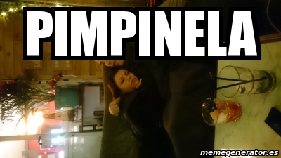 Meme Personalizado - Pimpinela - 20875434