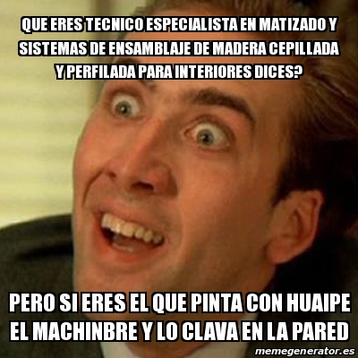 Meme No me digas - QUE ERES TECNICO ESPECIALISTA EN MATIZADO Y SISTEMAS ...