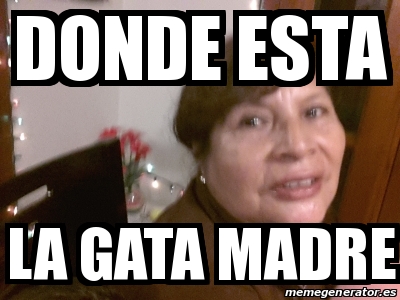Meme Personalizado - DONDE ESTA LA GATA MADRE - 20941665