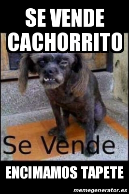 Meme Personalizado - Se vende cachorrito Encimamos tapete - 20944594