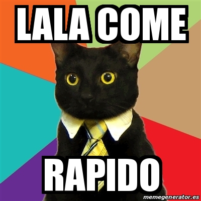 Meme Business Cat - Lala come rapido - 20949027