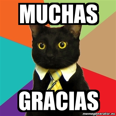 Meme Business Cat - MUCHAS gracias - 20978983