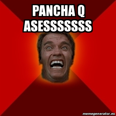 Meme Arnold - pancha q asesssssss - 20993473