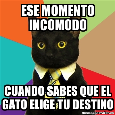 Meme Business Cat - ese momento incomodo cuando sabes que el gato elige ...