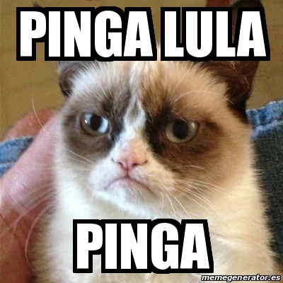 Meme Grumpy Cat - pinga lula pinga - 21029079