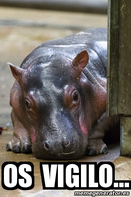 Meme Personalizado - os vigilo... - 21249542