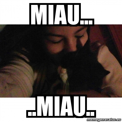 Meme Personalizado - miau... ..miau.. - 21338658