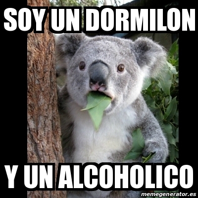 Meme Koala - SOY UN DORMILON Y UN ALCOHOLICO - 21399247