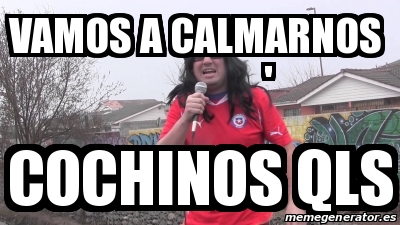 Memes Con Cochinos