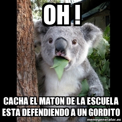 Meme Koala - oh ! cacha el maton de la escuela esta defendiendo a un ...