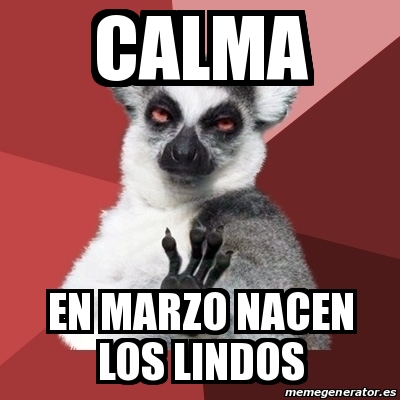 Meme Chill Out Lemur - Calma En marzo nacen los lindos - 21494920