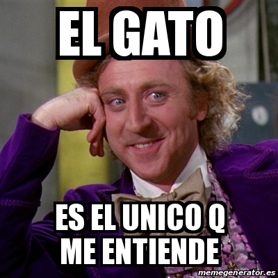 Meme Willy Wonka - el gato es el unico q me entiende - 21527548