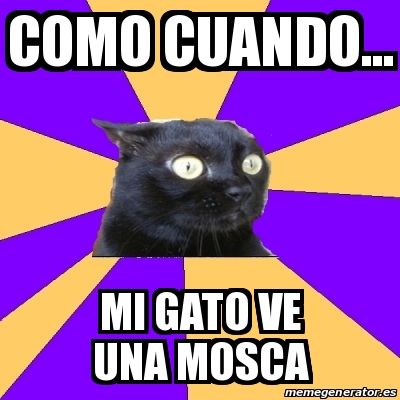 Meme Anxiety Cat - Como cuando... mi gato ve una mosca - 21609132
