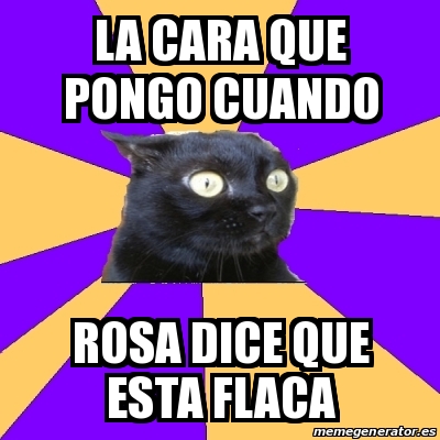 Meme Anxiety Cat - La cara que pongo cuando Rosa dice que esta flaca ...