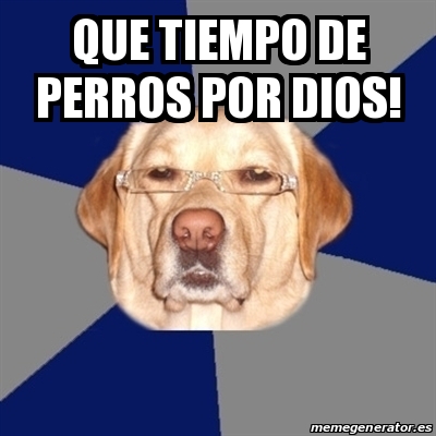 Meme Perro Racista - que tiempo de perros por dios! - 21645781