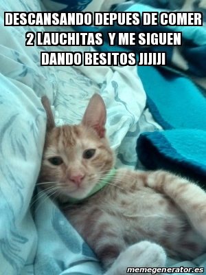 Meme Personalizado - DESCANSANDO DEPUES DE COMER 2 LAUCHITAS Y ME ...