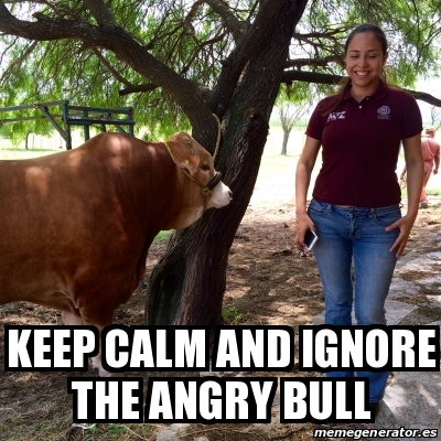 Meme Personalizado - keep calm and ignore the angry bull - 21683383