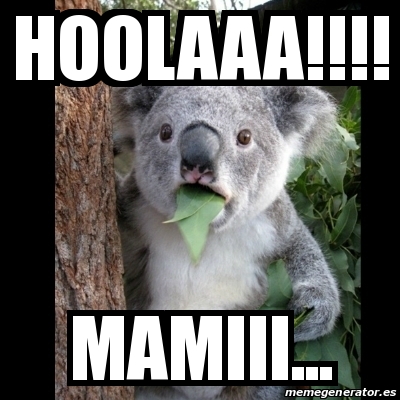 Meme Koala - hoolaaa!!!! mamiii... - 21079586