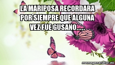 Meme Personalizado - la mariposa recordara por siempre que alguna vez ...