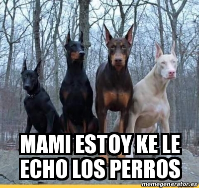 Meme Personalizado - Mami estoy ke le echo los perros - 21708317