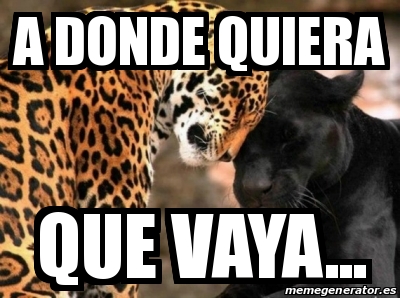 Meme Personalizado - A donde quiera que vaya... - 21712774