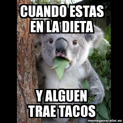 Meme Koala - cuando estas en la dieta y alguen trae tacos - 21730429