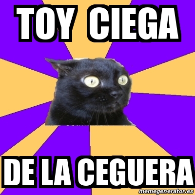 Meme Anxiety Cat - toy ciega de la ceguera - 21790558