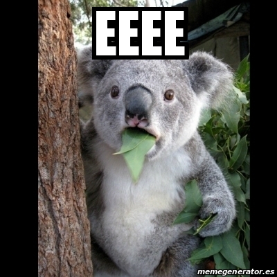 Meme Koala - Eeee - 21799829