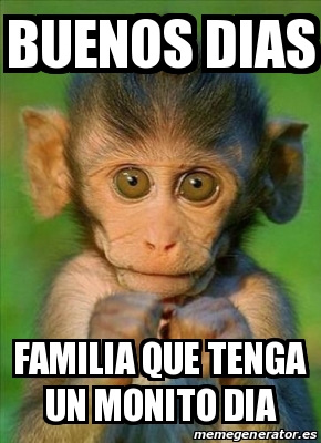 Fotos De Monitos Memes