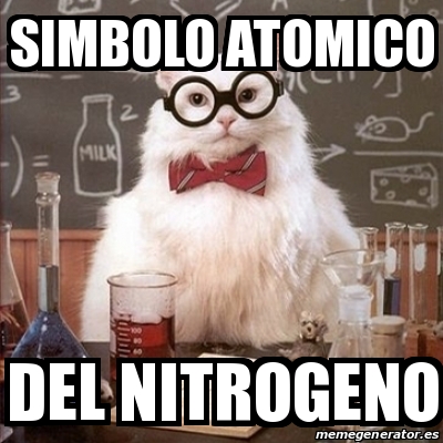 Meme Chemistry Cat - simbolo atomico del nitrogeno - 21808341
