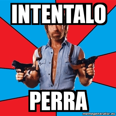 Meme Chuck Norris - Intentalo Perra - 21858227