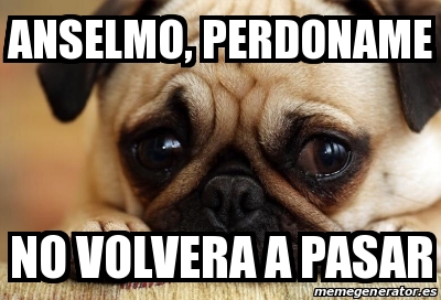 Meme Personalizado - ANSELMO, PERDONAME NO VOLVERA A PASAR - 21860082