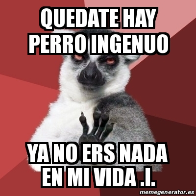 Meme Chill Out Lemur - quedate hay perro ingenuo ya no ers nada en mi ...